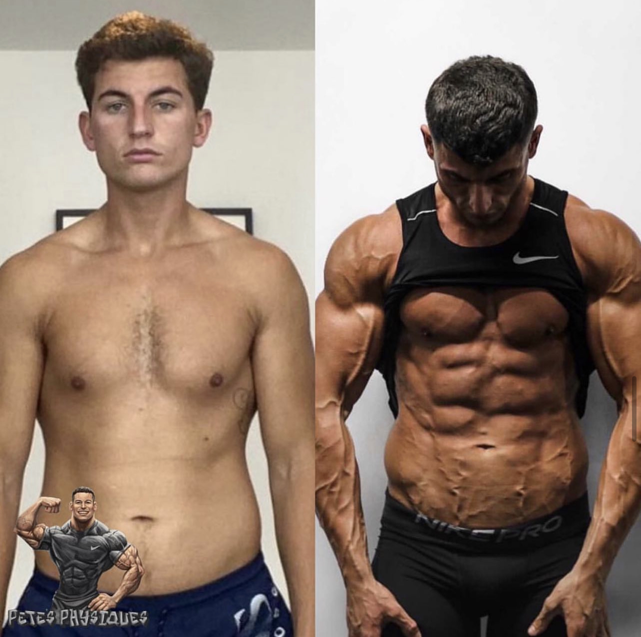 Physique Development - Petes Physiques
